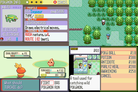 Pokemon-magma_Ruby_202-screen.png - Albums des jeux - RomStation